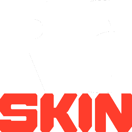 R6.skin - Charms